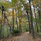 Tatum County Park Trails, New Jersey - 652 Reviews, Map | AllTrails