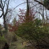 Tatum County Park Trails, New Jersey - 652 Reviews, Map | AllTrails