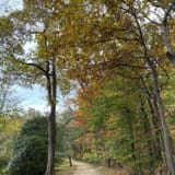 Tatum County Park Trails, New Jersey - 652 Reviews, Map | AllTrails