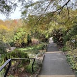 Tatum County Park Trails, New Jersey - 652 Reviews, Map | AllTrails