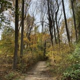 Tatum County Park Trails, New Jersey - 652 Reviews, Map | AllTrails
