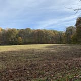 Tatum County Park Trails, New Jersey - 652 Reviews, Map | AllTrails