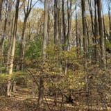 Tatum County Park Trails, New Jersey - 652 Reviews, Map | AllTrails