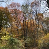 Tatum County Park Trails, New Jersey - 652 Reviews, Map | AllTrails