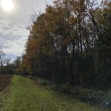 Tatum County Park Trails, New Jersey - 652 Reviews, Map | AllTrails