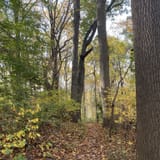 Tatum County Park Trails, New Jersey - 652 Reviews, Map | AllTrails