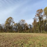 Tatum County Park Trails, New Jersey - 652 Reviews, Map | AllTrails