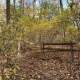 Tatum County Park Trails, New Jersey - 652 Reviews, Map | AllTrails