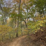 Tatum County Park Trails, New Jersey - 652 Reviews, Map | AllTrails