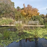 Tatum County Park Trails, New Jersey - 652 Reviews, Map | AllTrails