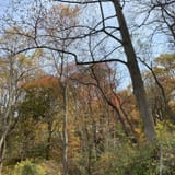 Tatum County Park Trails, New Jersey - 652 Reviews, Map | AllTrails