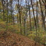 Tatum County Park Trails, New Jersey - 652 Reviews, Map | AllTrails