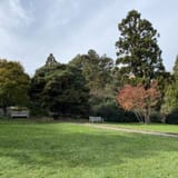 Tatum County Park Trails, New Jersey - 642 Reviews, Map | AllTrails