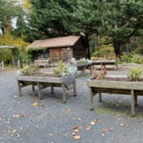 Tatum County Park Trails, New Jersey - 652 Reviews, Map | AllTrails