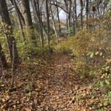 Tatum County Park Trails, New Jersey - 652 Reviews, Map | AllTrails