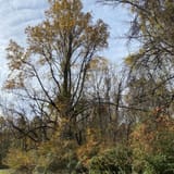 Tatum County Park Trails, New Jersey - 652 Reviews, Map | AllTrails