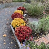 Tatum County Park Trails, New Jersey - 652 Reviews, Map | AllTrails