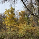 Tatum County Park Trails, New Jersey - 652 Reviews, Map | AllTrails