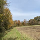 Tatum County Park Trails, New Jersey - 652 Reviews, Map | AllTrails