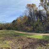 Tatum County Park Trails, New Jersey - 652 Reviews, Map | AllTrails