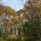 Tatum County Park Trails, New Jersey - 652 Reviews, Map | AllTrails