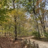 Tatum County Park Trails, New Jersey - 652 Reviews, Map | AllTrails