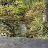 Tatum County Park Trails, New Jersey - 652 Reviews, Map | AllTrails