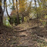 Tatum County Park Trails, New Jersey - 652 Reviews, Map | AllTrails