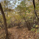 Tatum County Park Trails, New Jersey - 652 Reviews, Map | AllTrails