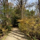 Tatum County Park Trails, New Jersey - 652 Reviews, Map | AllTrails