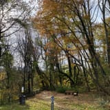 Tatum County Park Trails, New Jersey - 675 Reviews, Map | AllTrails