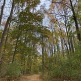 Tatum County Park Trails, New Jersey - 675 Reviews, Map | AllTrails