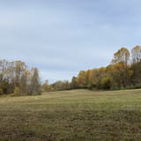 Tatum County Park Trails, New Jersey - 675 Reviews, Map | AllTrails