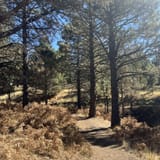 Aspen Nature Loop, Arizona - 2,074 Reviews, Map | AllTrails