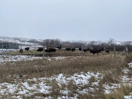 Best Hikes and Trails in Buffalo Pound Provincial Park | AllTrails