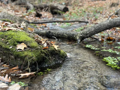 Best Hikes and Trails in Mound Springs Park | AllTrails