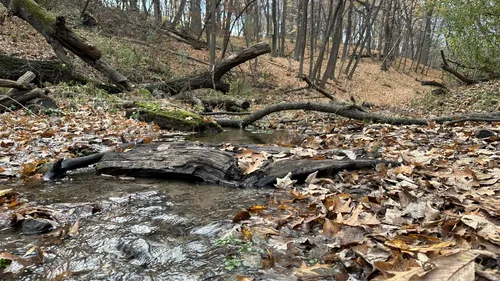 Best Hikes and Trails in Mound Springs Park | AllTrails