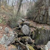 Riprap Trail , Virginia - 1,478 Reviews, Map | AllTrails