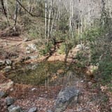Riprap Trail , Virginia - 1,478 Reviews, Map | AllTrails