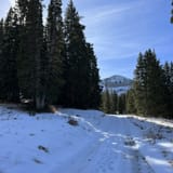 Cecret Lake Trail, Utah - 3,436 Reviews, Map | AllTrails