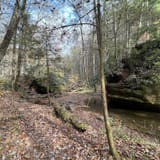 Koomer Ridge Trail, Kentucky - 625 Reviews, Map | AllTrails