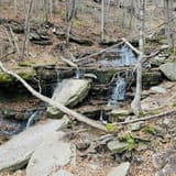 Turkey Path, Pennsylvania - 628 Reviews, Map | AllTrails