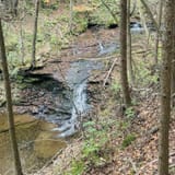 Turkey Path, Pennsylvania - 628 Reviews, Map | AllTrails