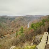 Turkey Path, Pennsylvania - 593 Reviews, Map | AllTrails