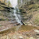 Turkey Path, Pennsylvania - 615 Reviews, Map | AllTrails