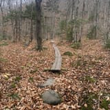 Butler Lodge Trail, Vermont - 517 Reviews, Map | AllTrails