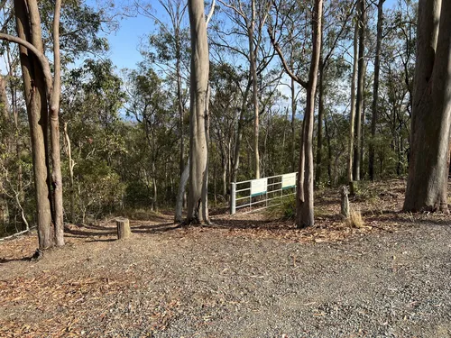 Best Hikes and Trails in Clear Mountain Conservation Park | AllTrails