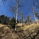 Barr Camp via Barr Trail, Colorado - 1,296 Reviews, Map | AllTrails