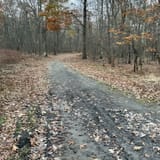 Thunder Swamp Trail: South Loop, Pennsylvania - 71 Reviews, Map | AllTrails