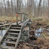 Thunder Swamp Trail: South Loop, Pennsylvania - 71 Reviews, Map | AllTrails
